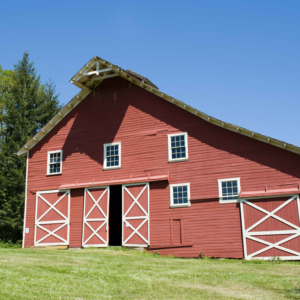 BirdXPeller® PRO | Sonic Bird Control | Scare Birds | Bird-X