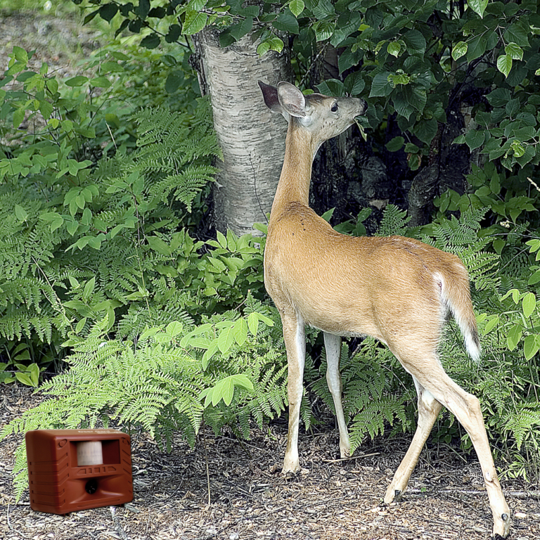 Deer Gard | Ultrasonic Deer Repeller | Bird-X