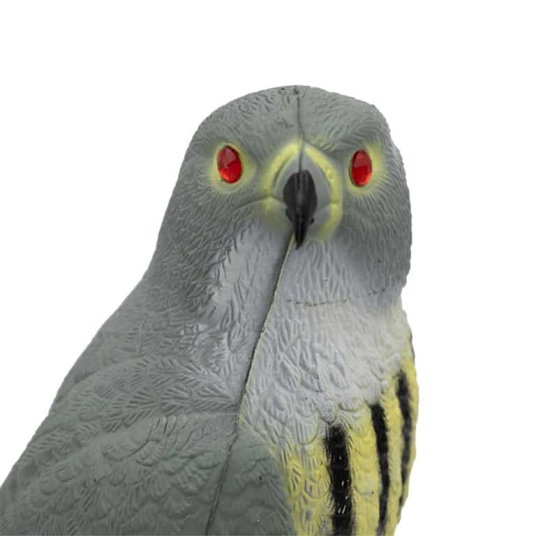 Falcon Predator Decoy | Scare Away Pest Birds | Bird-X