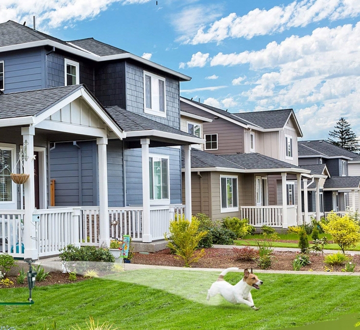 Hydro Critter Blaster - Bird-X