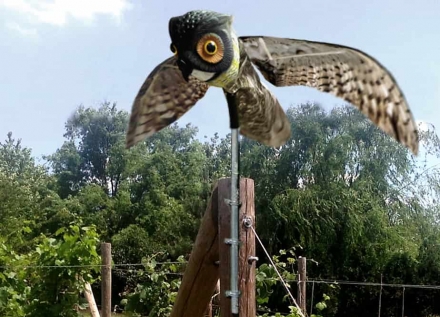 Owl Decoy | Realistic Predator Keeps Birds Away | Bird-X