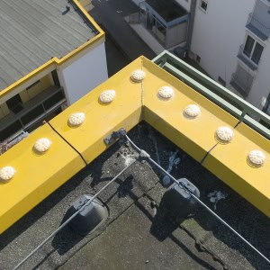 Optical Gel | All-Natural, Humane Bird Control | Bird-X