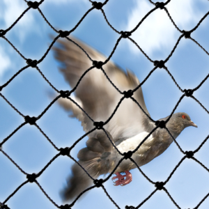 Premium Grade Bird Netting | Keep Birds Out | Bird-X
