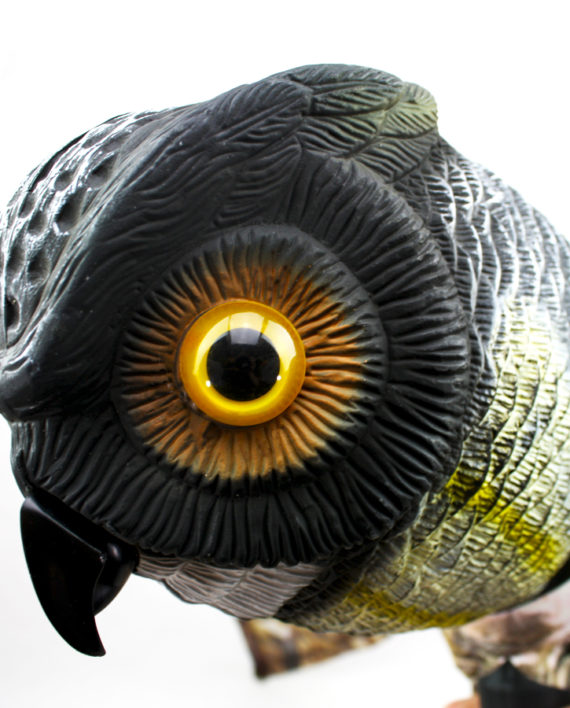 Prowler Owl | Bird-X