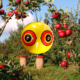 Scare Eye Balloons | Predator Decoy Keeps Birds Away | Bird-X
