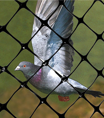Bird Netting: Structural, Heavy Duty BirdNet | Bird-X