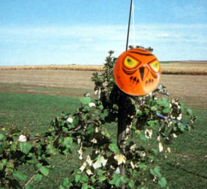 Visual Bird Deterrents | Balloons, Tape, Lights & Predator Decoys