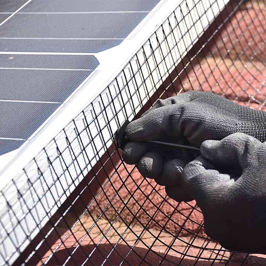 How to Protect Solar Panels from Pests