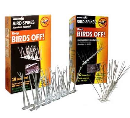 Bird Spike Kits | Bird-X Plastic or Stainless Steel Bird Spikes