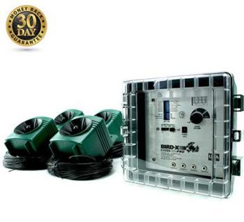 Turkey Vulture Deterrent | Vulture Control | Bird-X