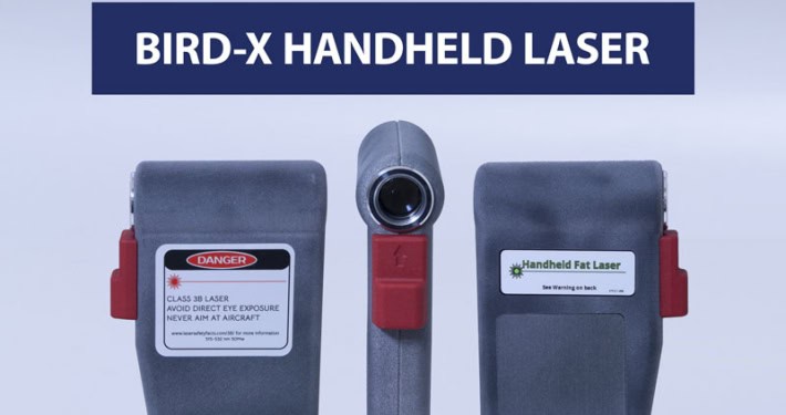 Handheld Lasers: The Fast Bird Control Solution Every PCO and Property ...