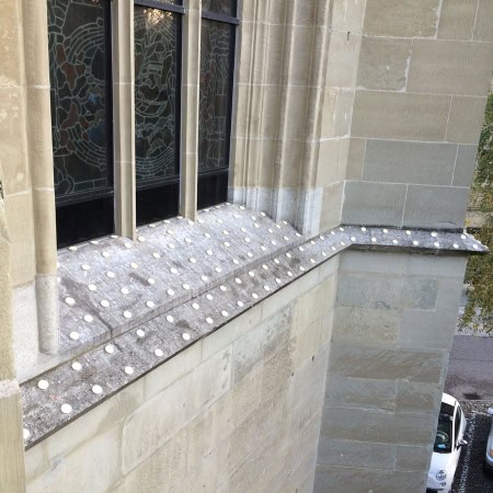 Optical Gel | All-Natural, Humane Bird Control | Bird-X